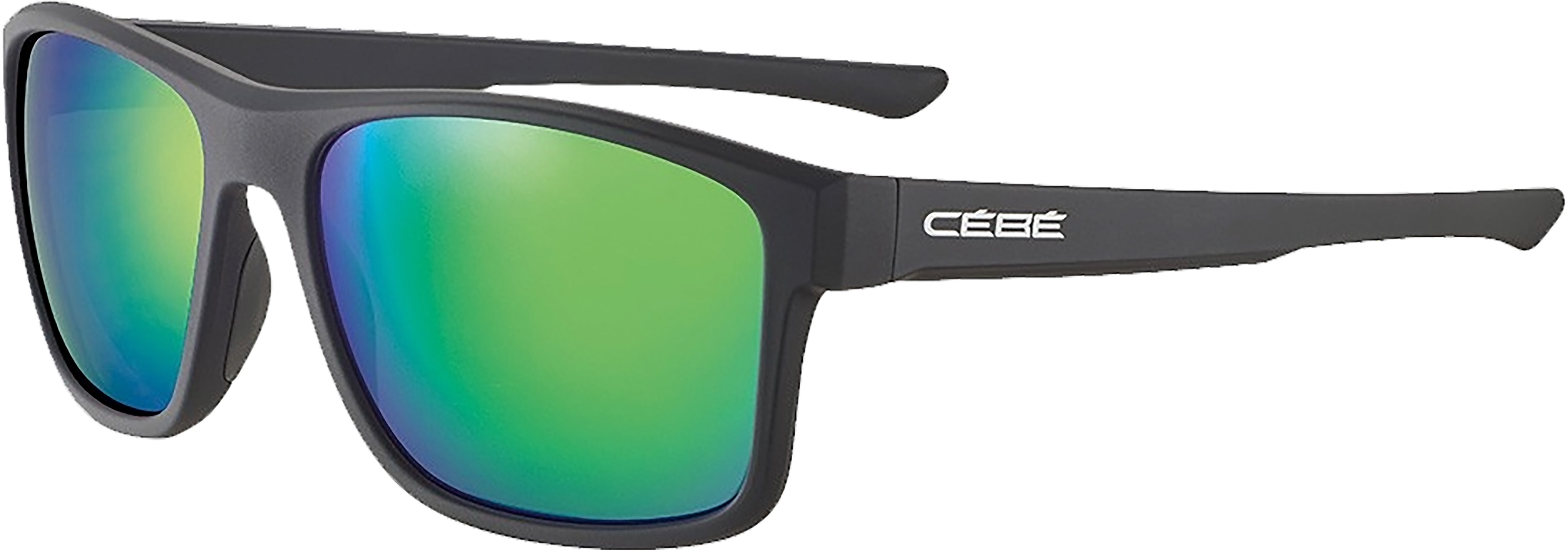 CEBE Baxter Sunglasses - Men's | Altitude Sports
