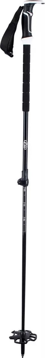 Backcountry Access Scepter Carbon Aluminum Poles | Altitude Sports