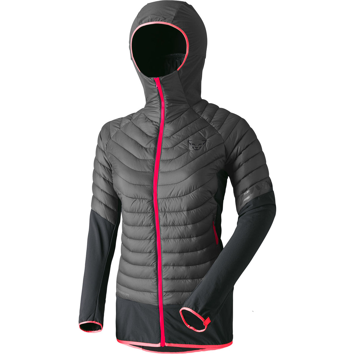 Dynafit Women's TLT Hybrid PRIMALOFT® Hood Jacket | Altitude Sports
