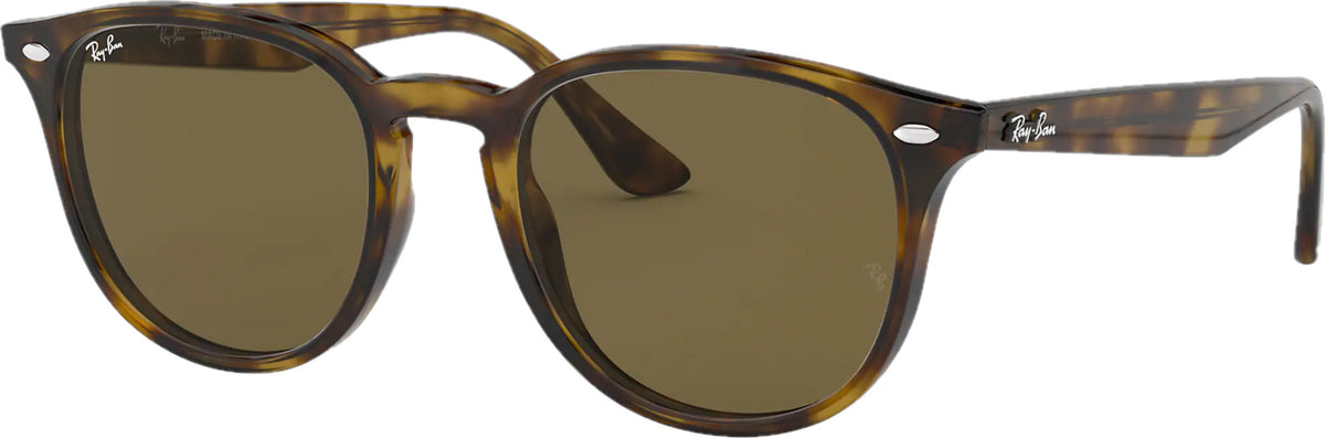 Ray Ban RB4259 Sunglasses - Gradient Lenses | Altitude Sports