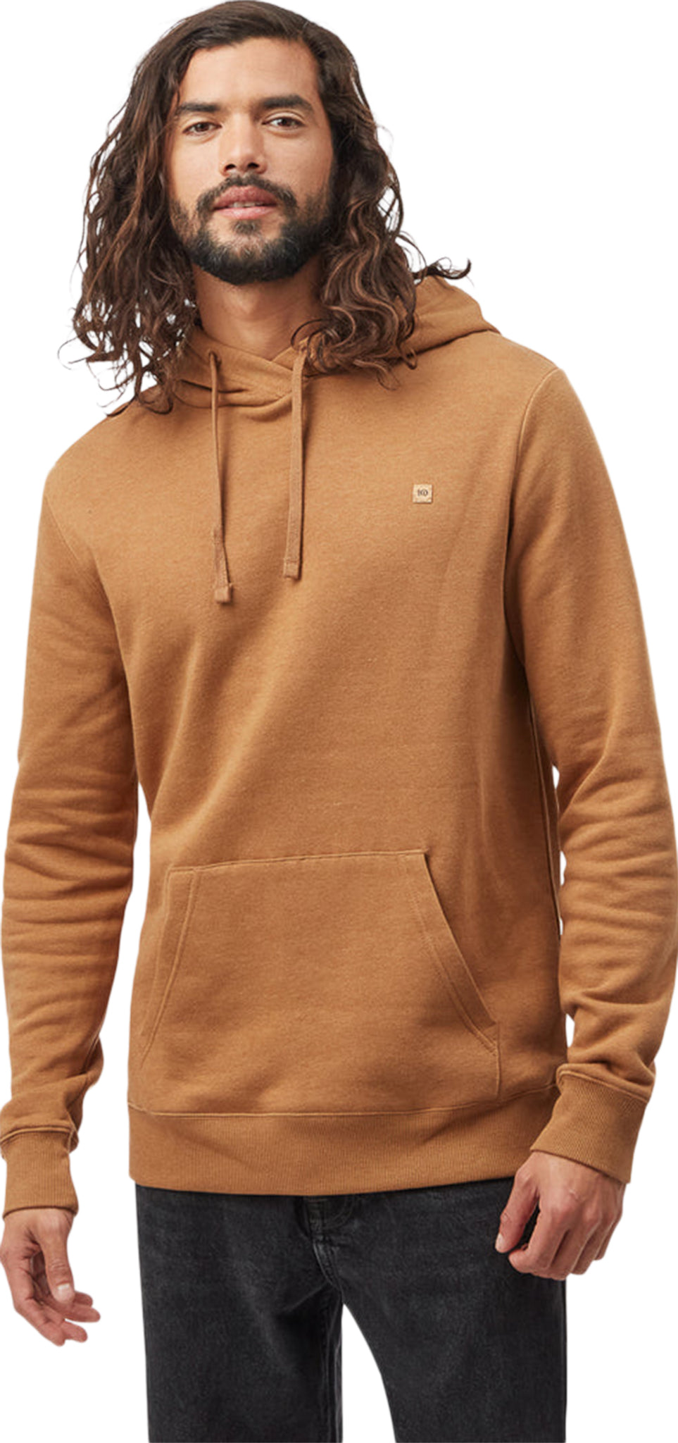 tentree TreeFleece Reynard Hoodie - Men's | Altitude Sports
