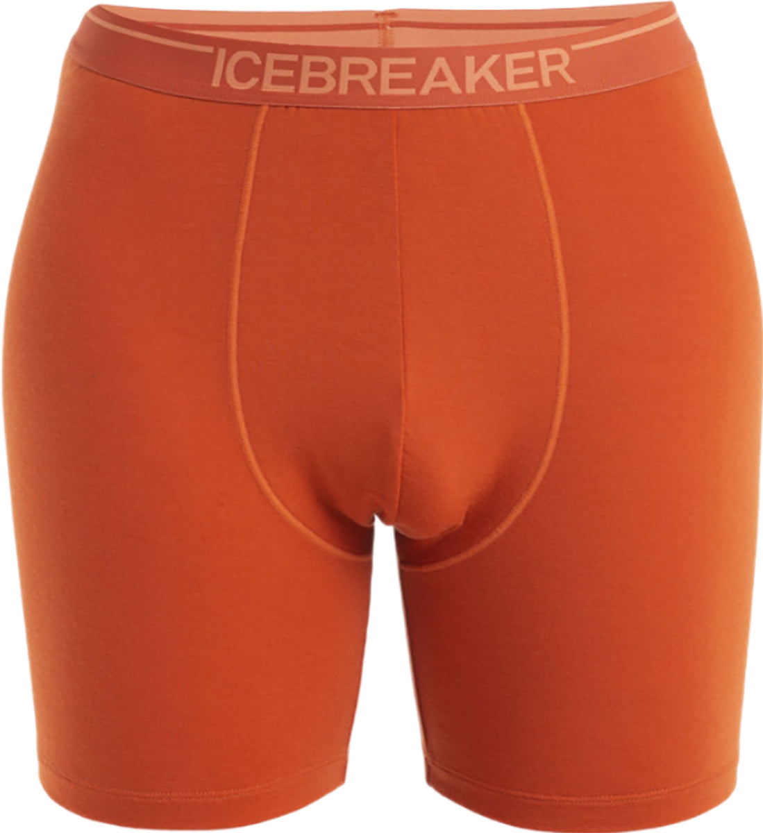 icebreaker Anatomica Long Boxers - Men's | Altitude Sports
