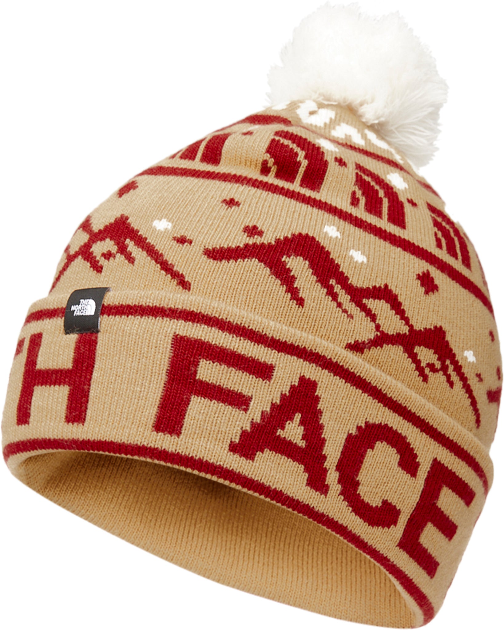 The North Face Ski Tuke Pom Hat - Kids | Altitude Sports